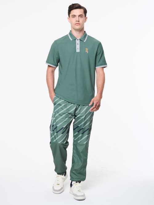 SERGIO TACCHINI arbitro polo